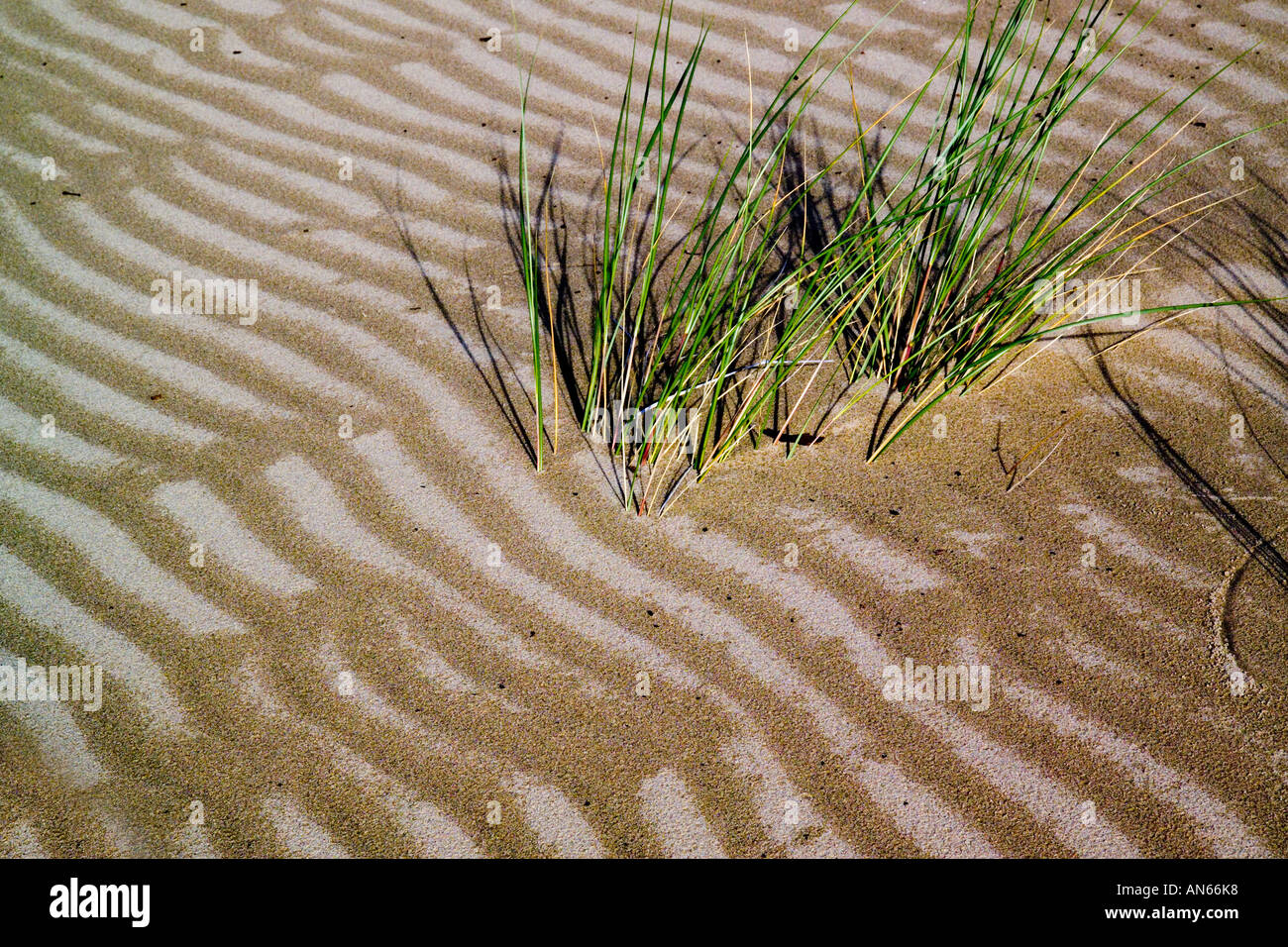 Sand Dune Pattern Stock Photo - Alamy