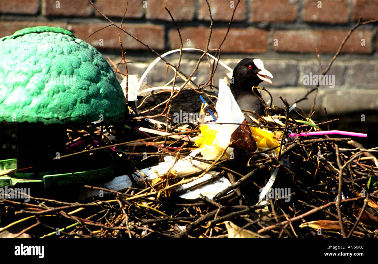 Interesting bird nest hi-res stock photography and images - Alamy