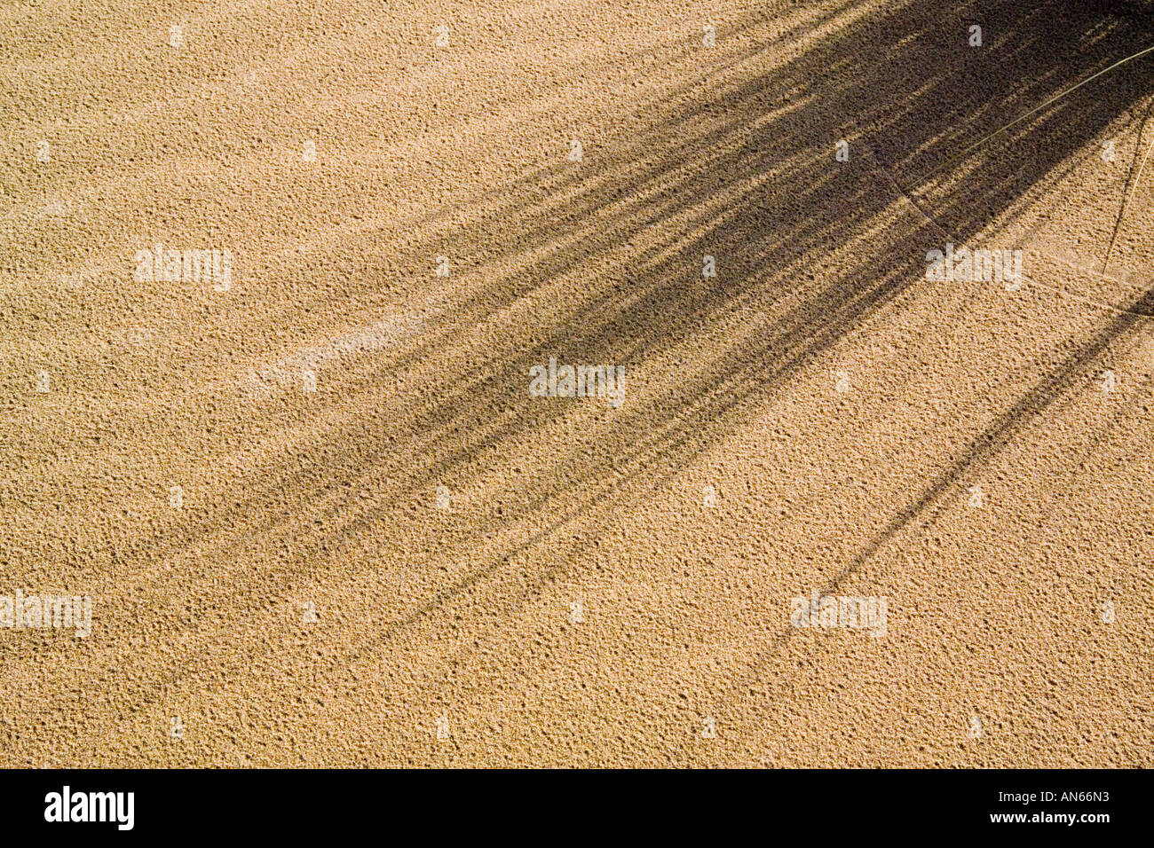 Ripple grasses hi-res stock photography and images - Alamy