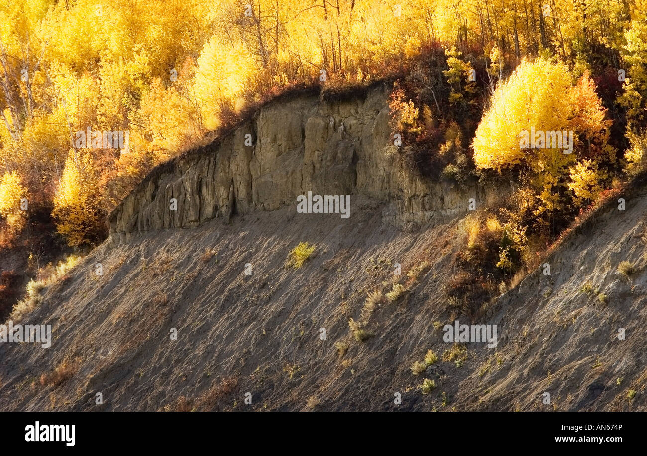 Autumn trees on a cliff's side Stock Photo - Alamy