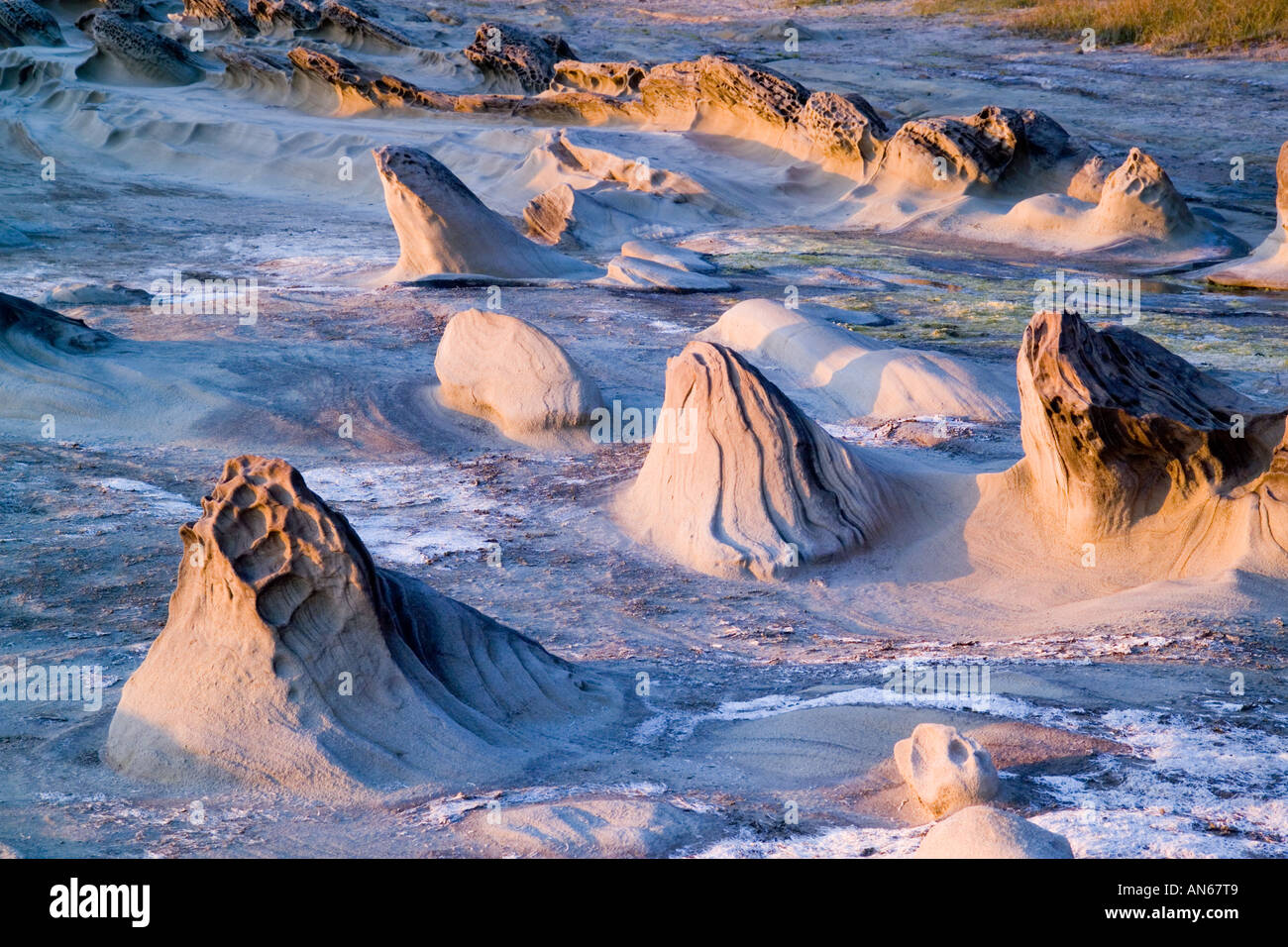 Fascinating Geological Rock Shapes On Oregon Coast Stock Photo - Alamy