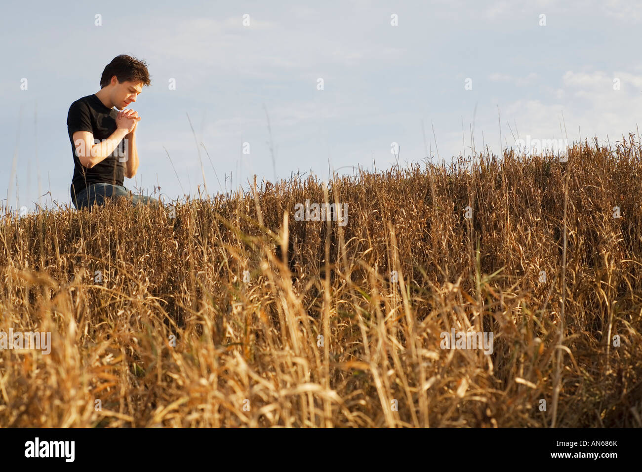 Man praying in a wheat field Stock Photo - Alamy