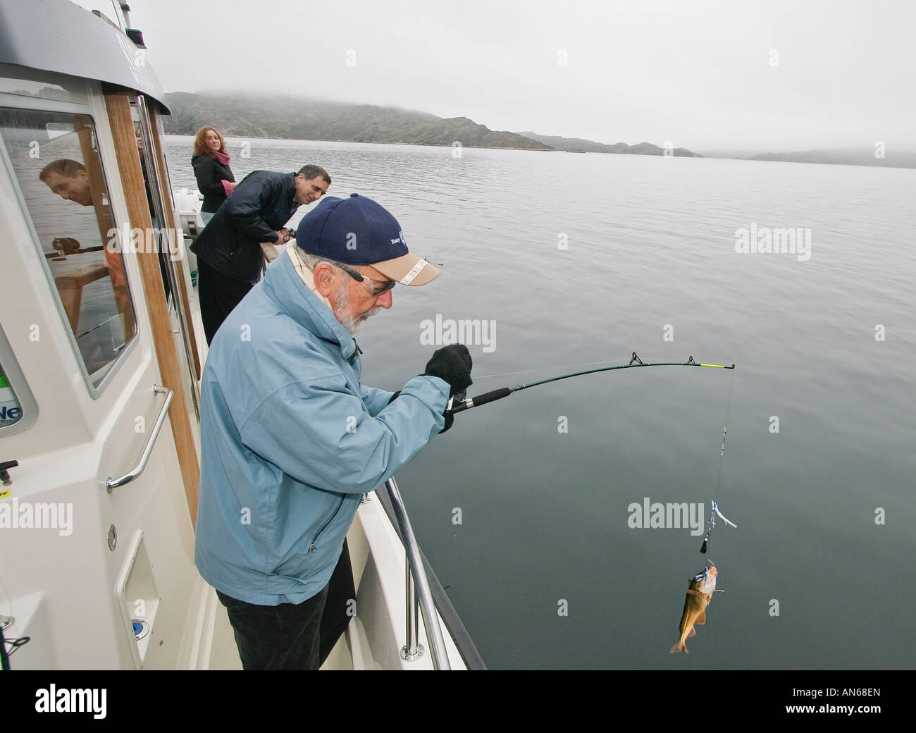 Fjord codfish hi-res stock photography and images - Alamy