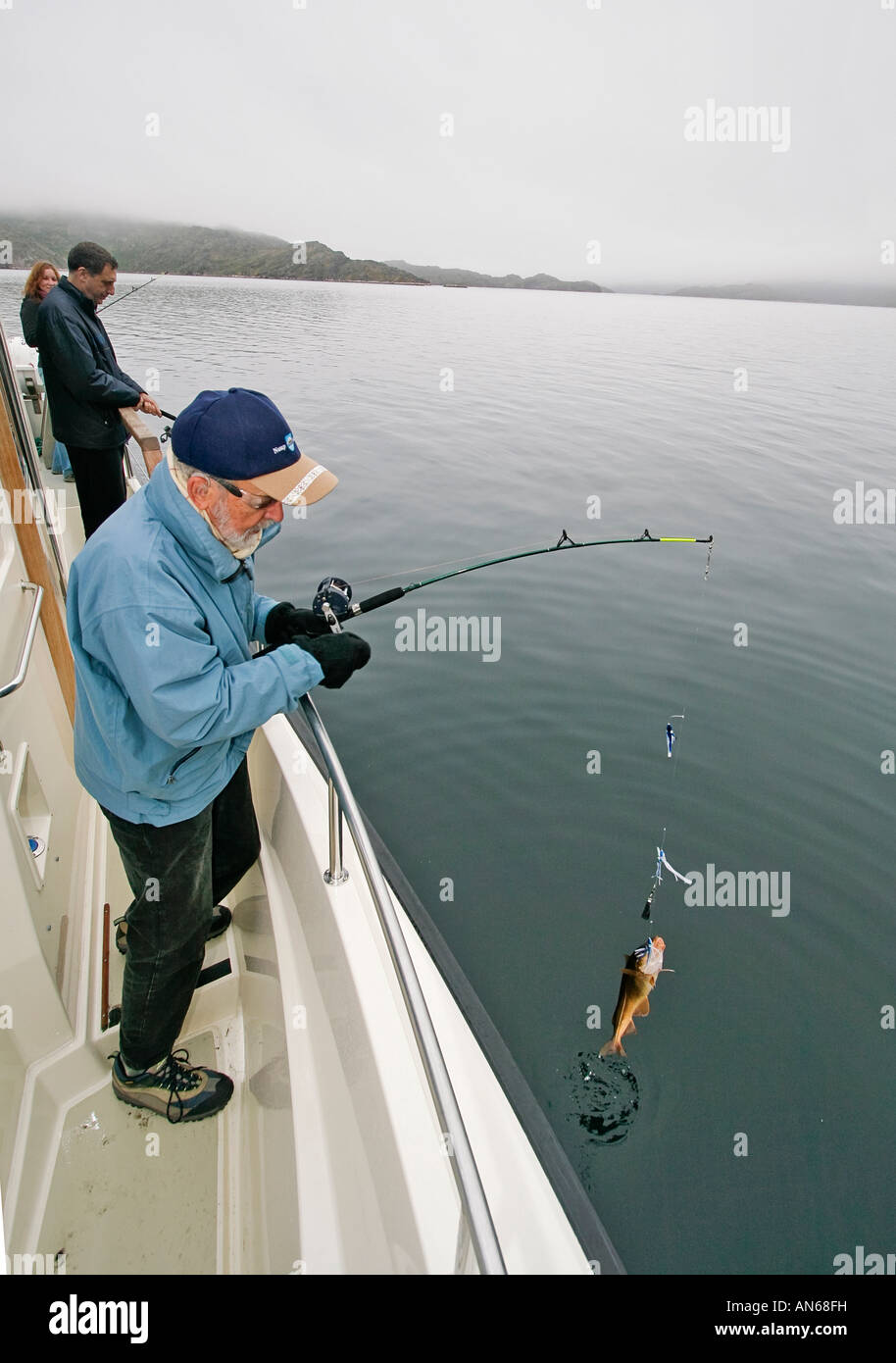 Fjord codfish hi-res stock photography and images - Alamy