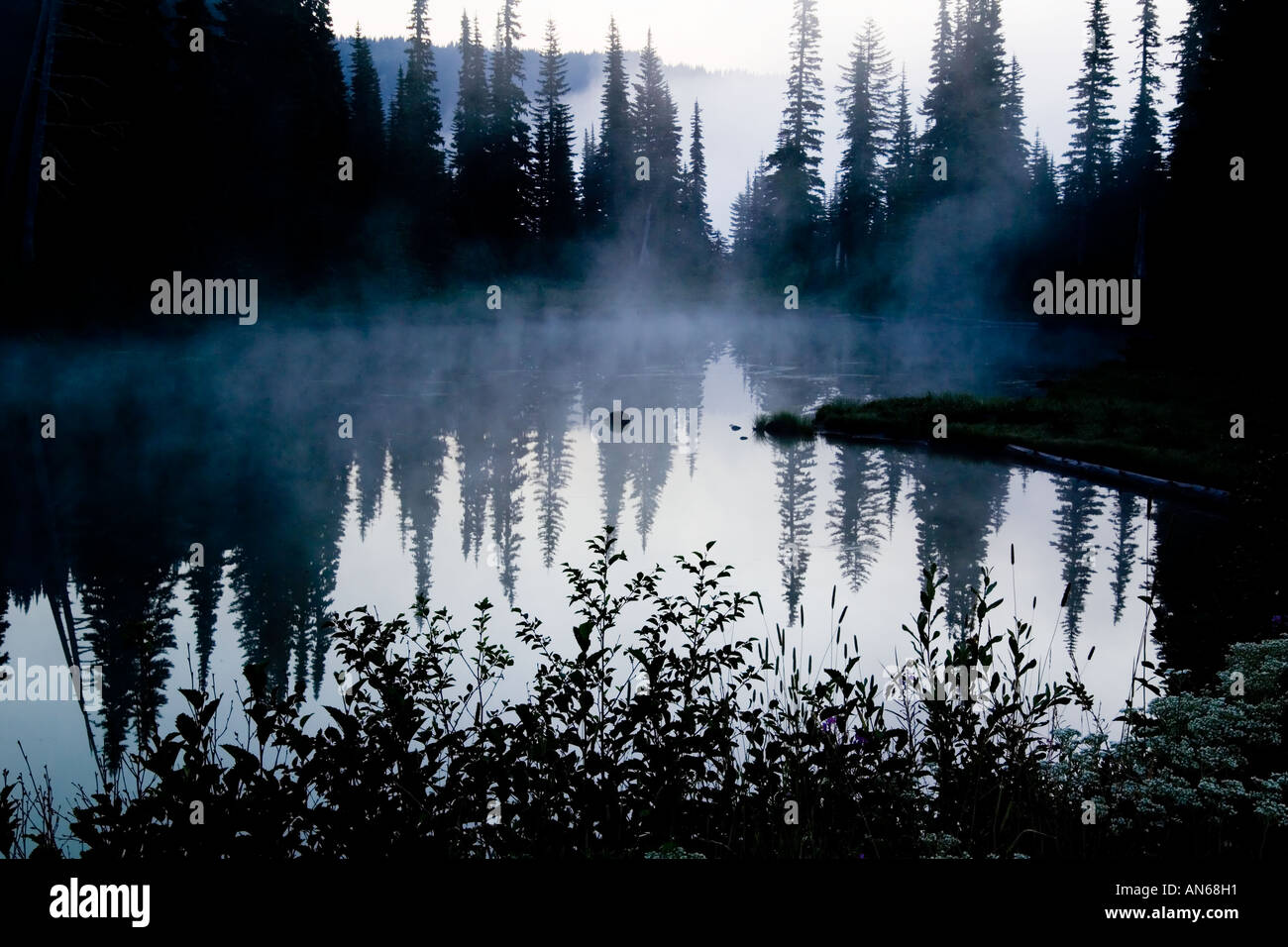 Mirror Image of Trees in Lake Reflection Stock Photo - Alamy