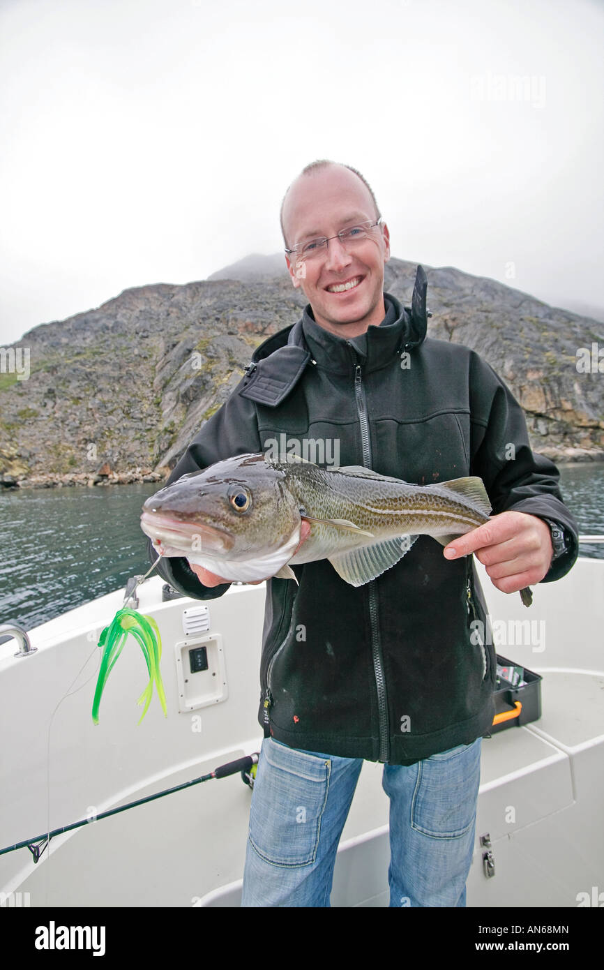 Giant cod caught by visitors in fjord near Sisimiut Greenland Stock ...
