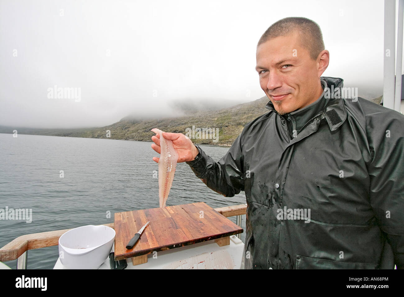 Boat captain fillets cod for lunch during fishing trip in fjord near ...