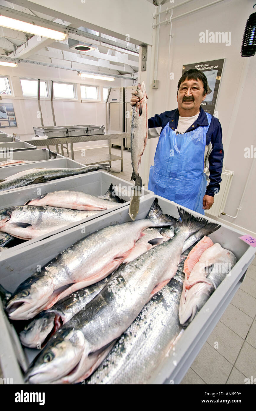 Butcher shop in Sisimiut Greenland Stock Photo - Alamy