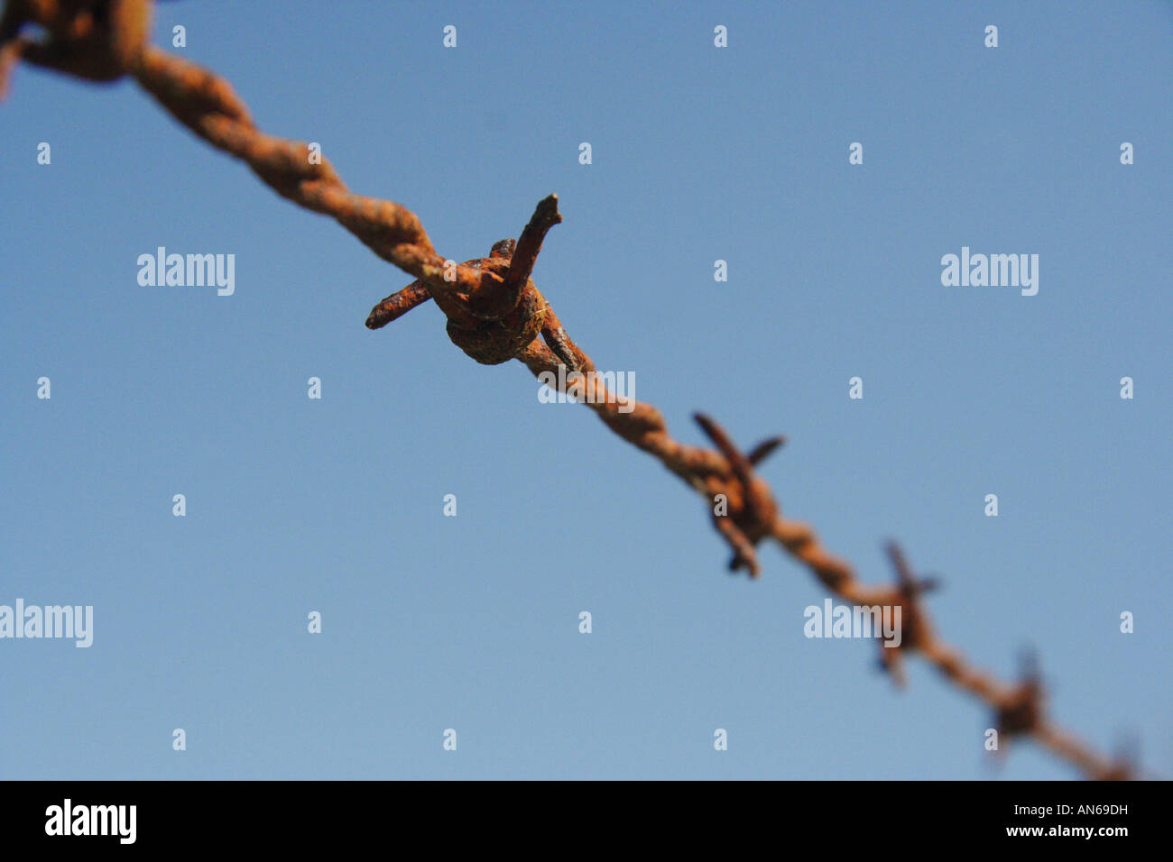 Rusty barbed wire Stock Photo - Alamy