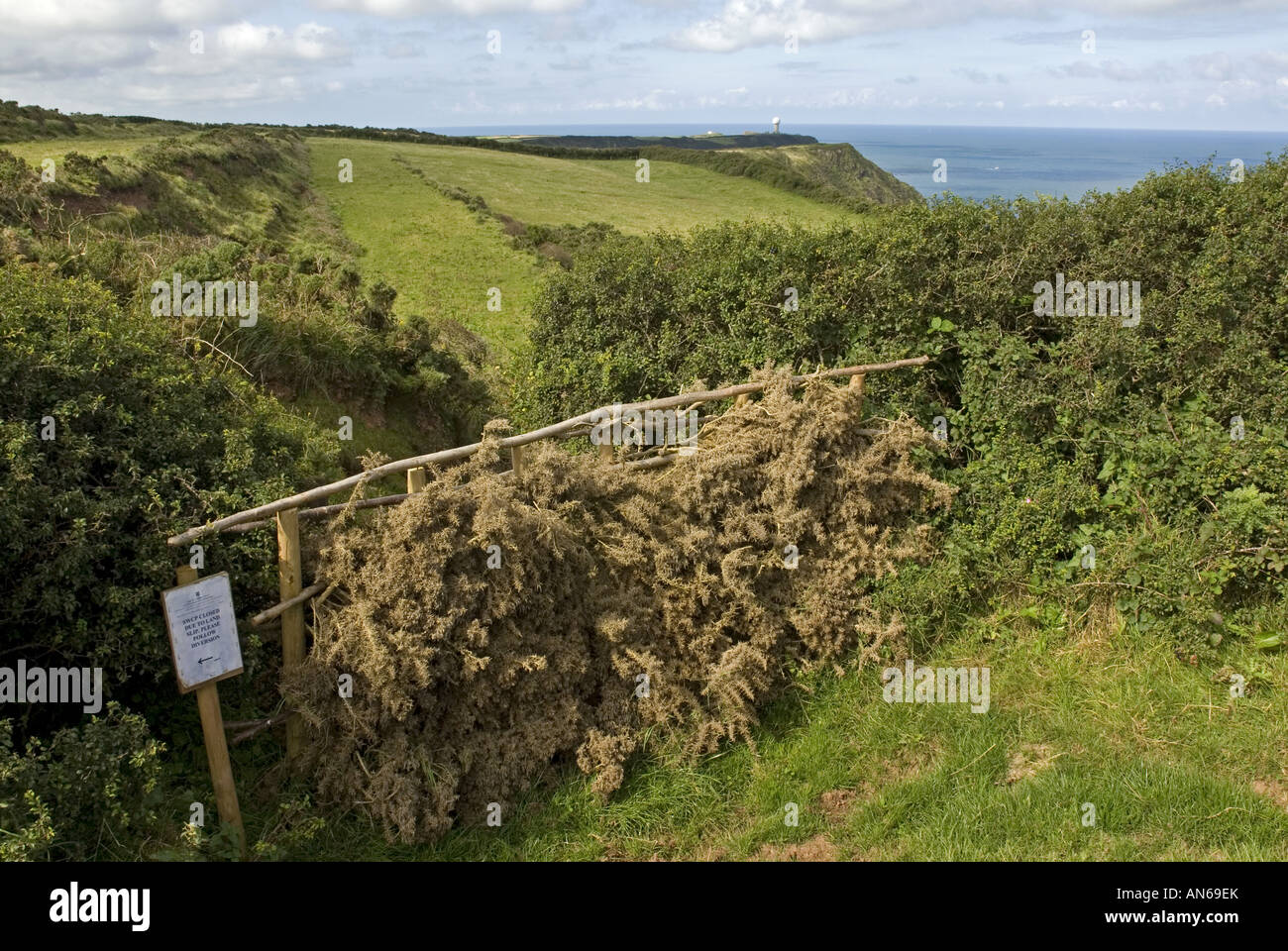 Section of south west coast path near Gawlish cliff, north Devon, with ...