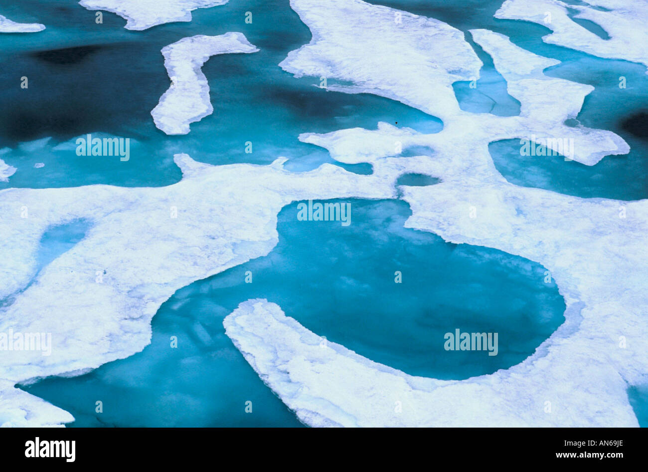 Packeis Ice Kanadische Arktis Canadian Arctic Stock Photo - Alamy
