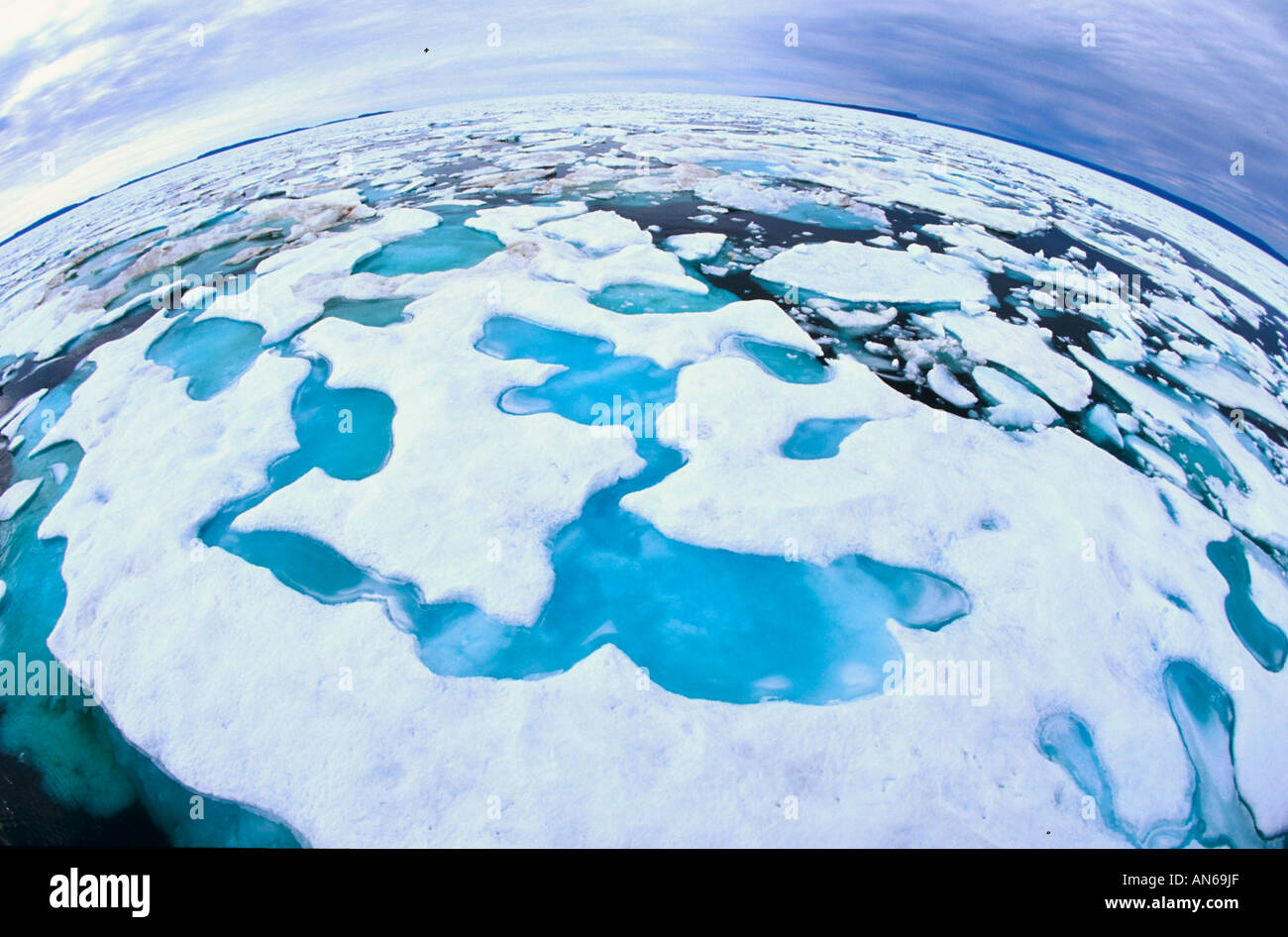 Packeis Ice Canadian Arctic Kanadische Arktis Stock Photo - Alamy
