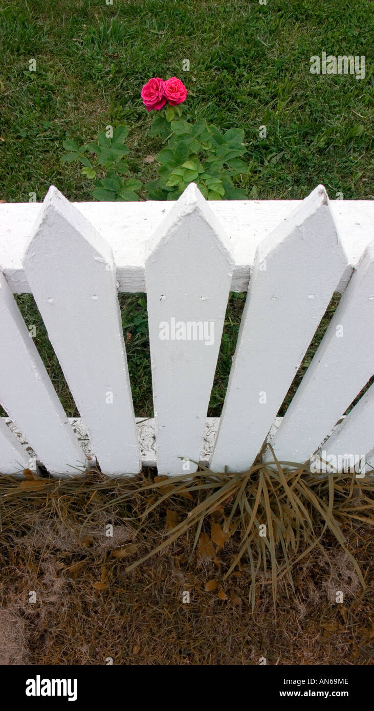 Neighbor looking over fence hi-res stock photography and images - Alamy