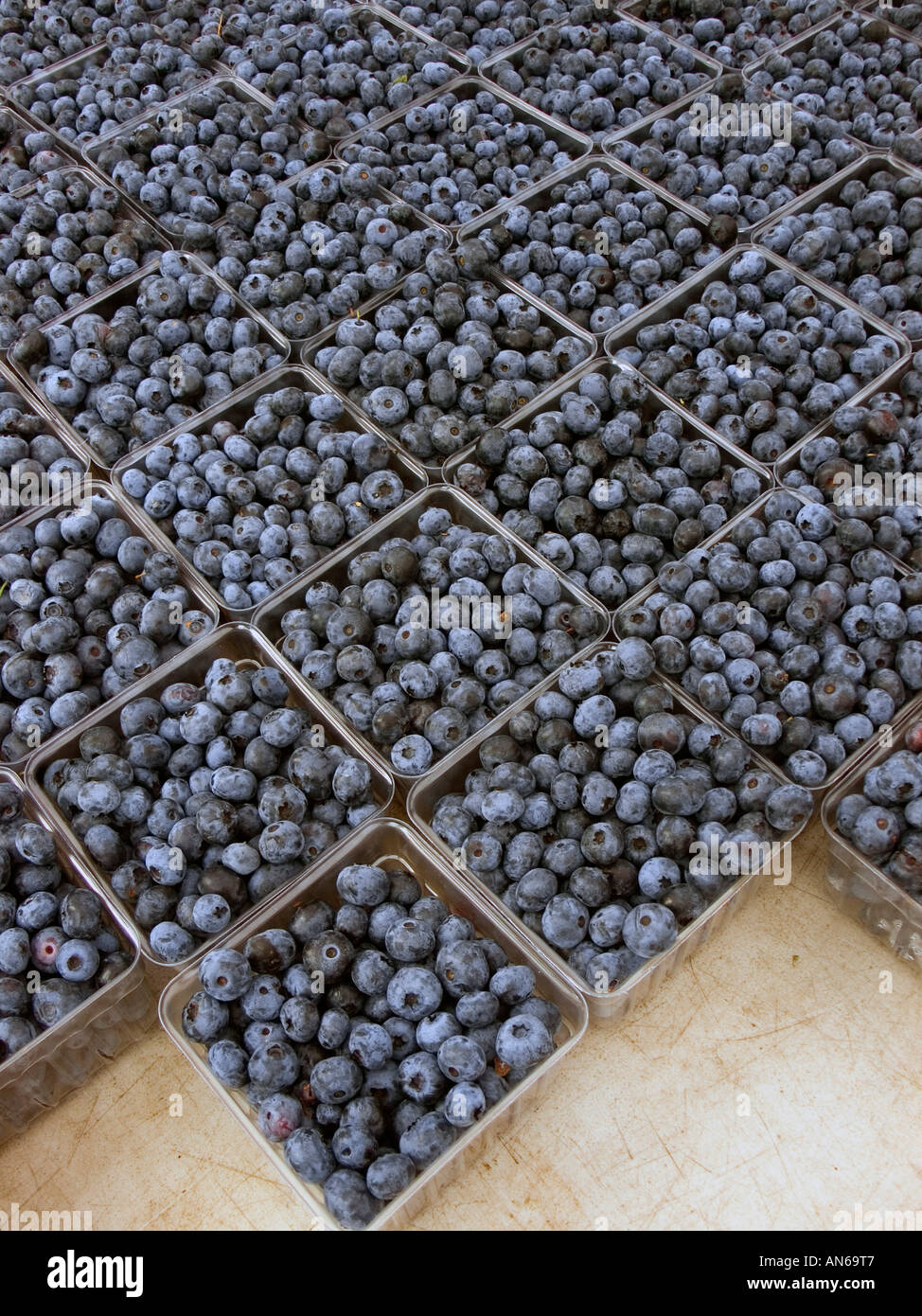 Boxes of blueberries viewed from above Stock Photo - Alamy