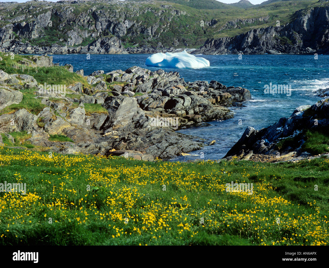 "Northern Peninsula" iceberg Stock Photo - Alamy