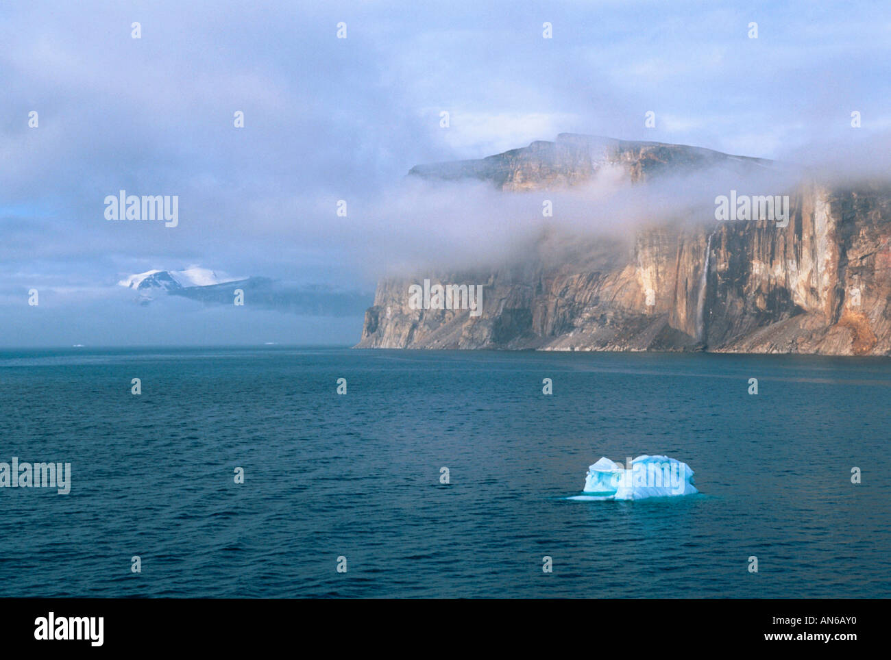 Scott island birdcliffs gibbs fjord hi-res stock photography and images ...