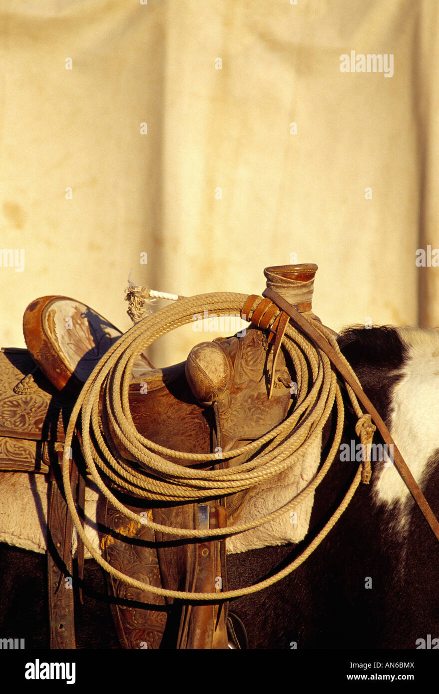Oregon camping detail hi-res stock photography and images - Alamy