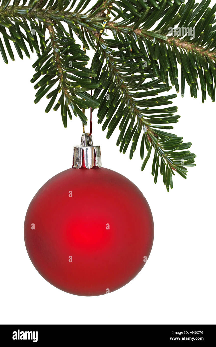 Red Christmas ornament hanging from tree branch isolated on white Stock ...