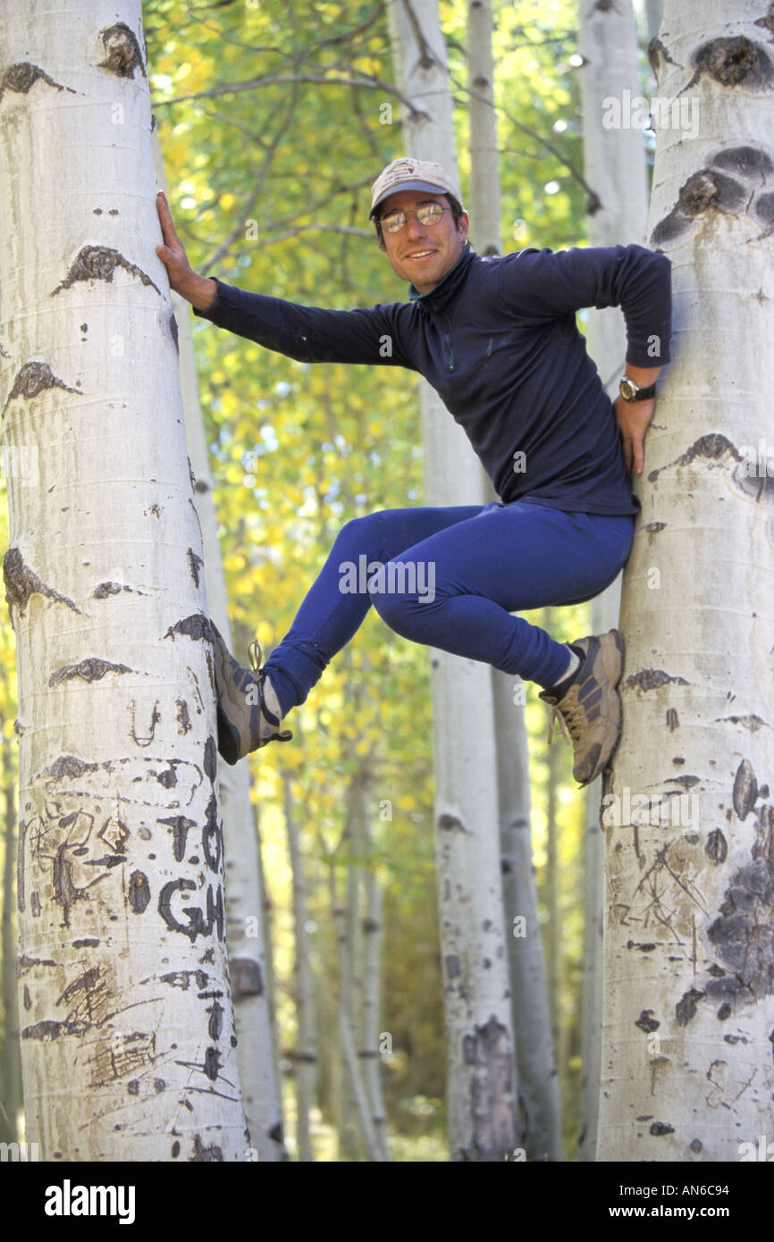 Man Posing Wedged Between Two Trees Stock Photo - Alamy