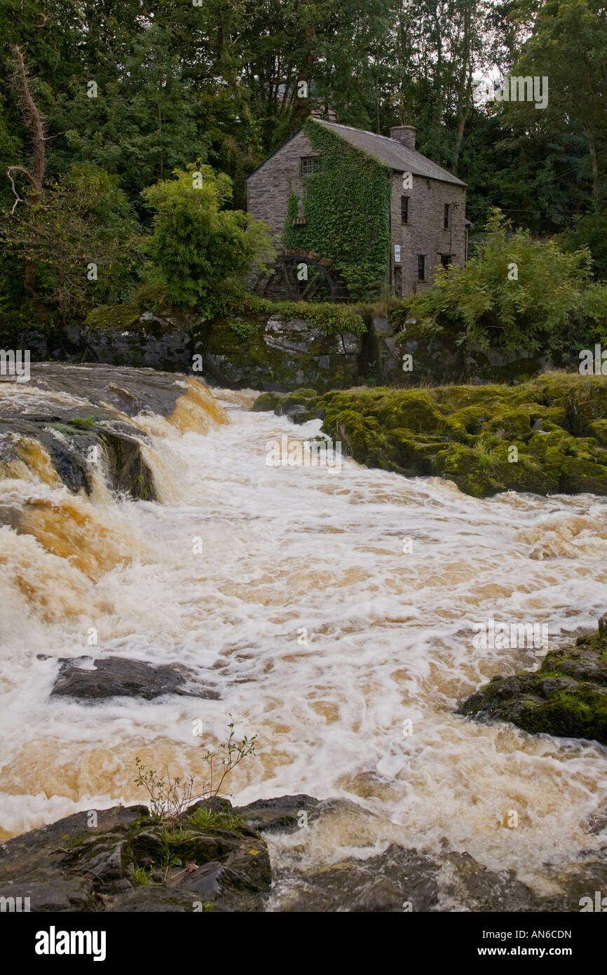 Cenarth Water mill on the River Teifi Wales Stock Photo - Alamy