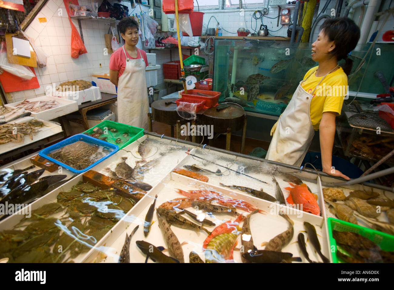 Women talking next to live fish in the fish market in Kowloon Hong Kong Stock Photo Alamy