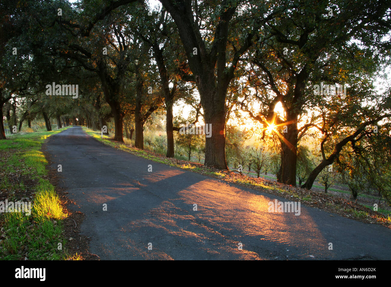 Levee road hi-res stock photography and images - Alamy