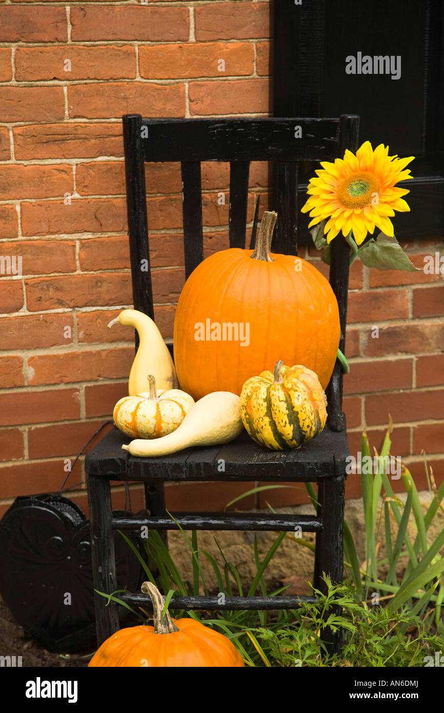ILLINOIS Galena Pumpkins guords and squash on black chair on porch fall ...