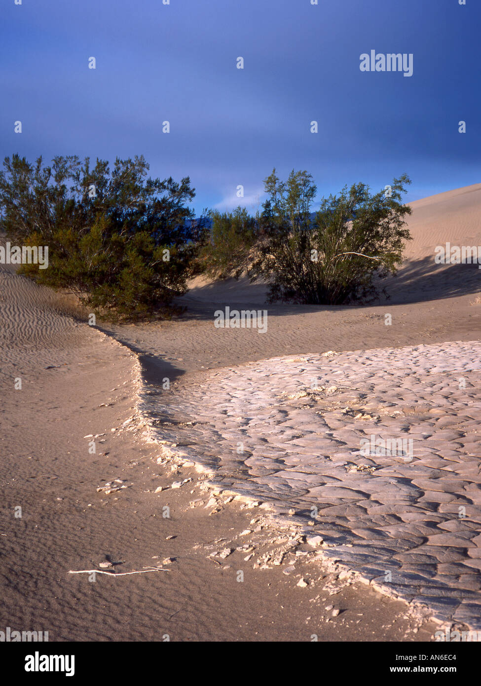 Rock designs in the Death Valley Sand Stock Photo - Alamy