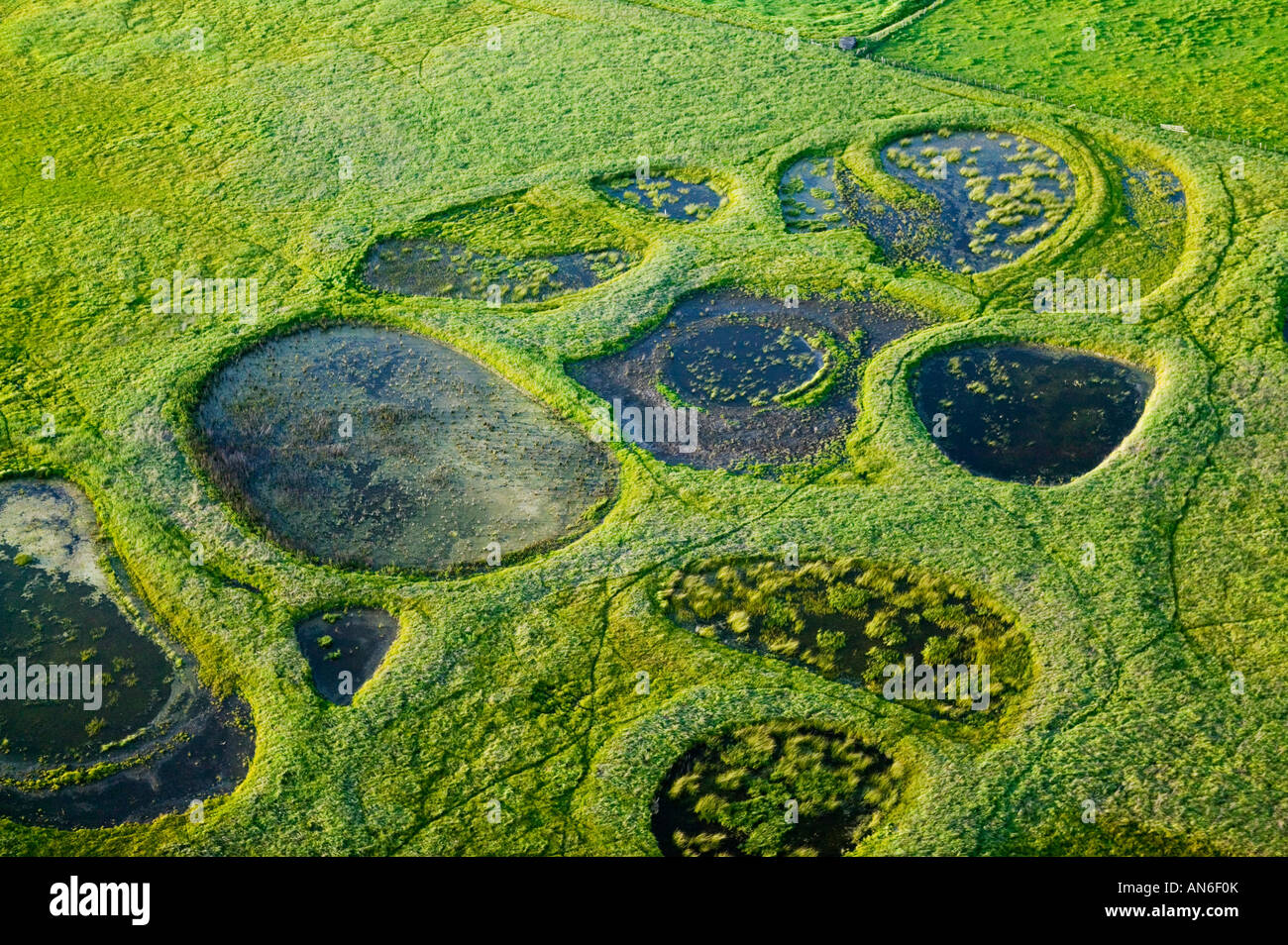aerial view above vernal pools Petaluma CA Sonoma county wetlands Stock ...