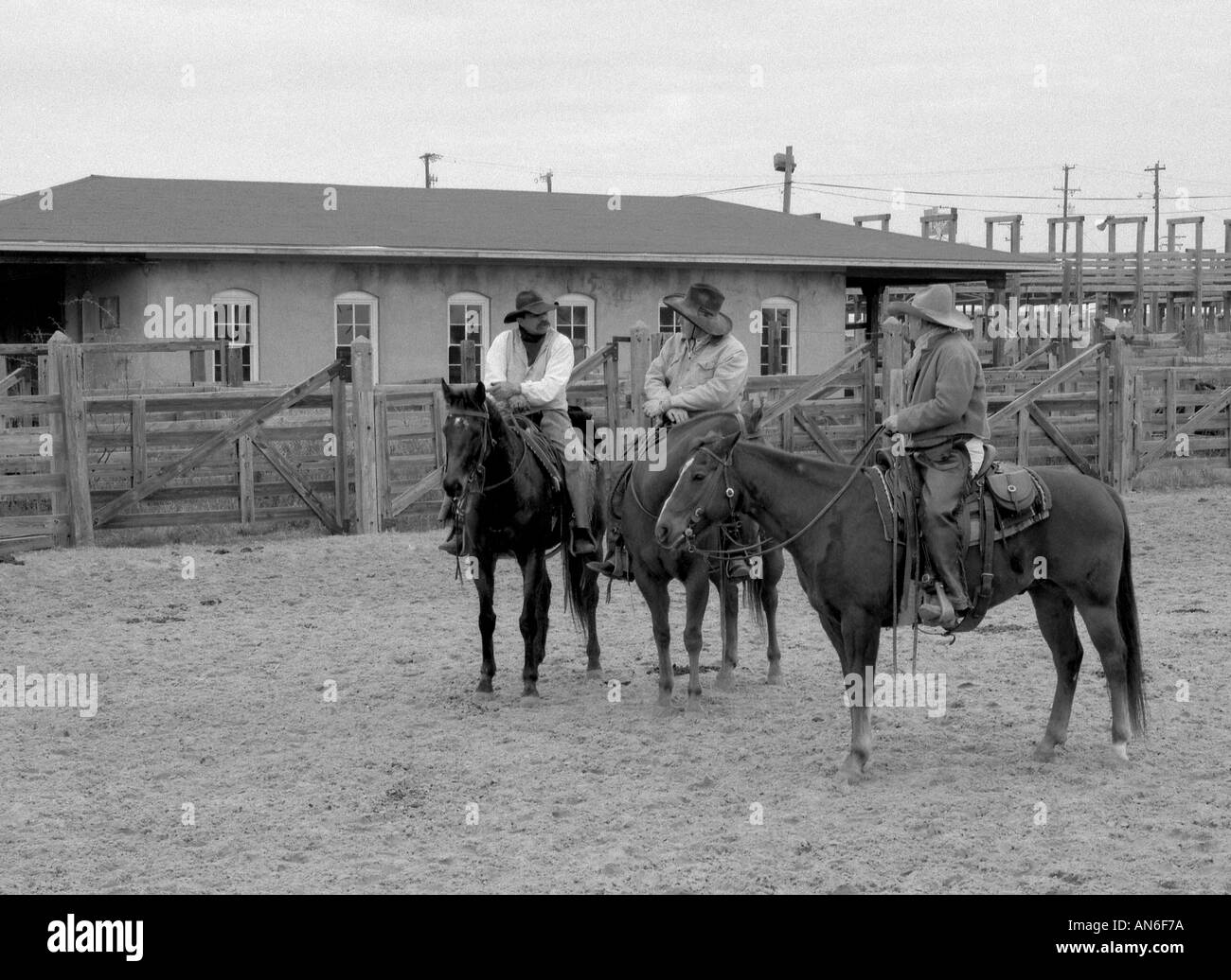 Cowboy on horse Black and White Stock Photos & Images - Alamy