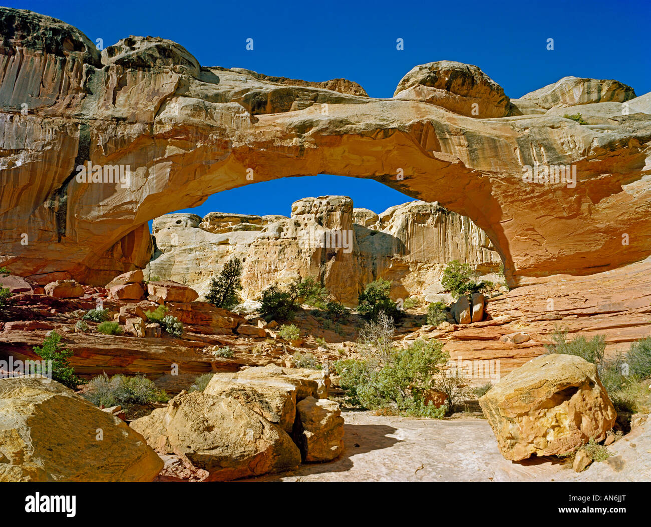 Hickman Natural Bridge in the Capitol Reef National park Stock Photo ...