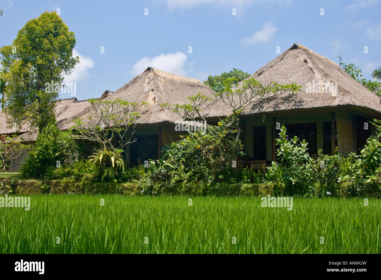 Resort Hotel set in a Rice Field Ubud Bali Indonesia Stock Photo - Alamy