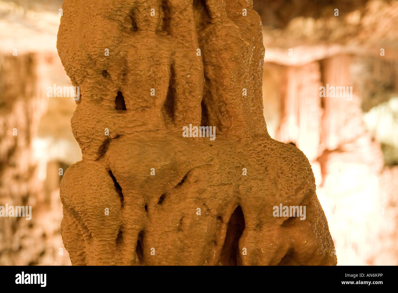 Israel the Soreq Stalactite Cave Nature Reserve also called Avshalom ...