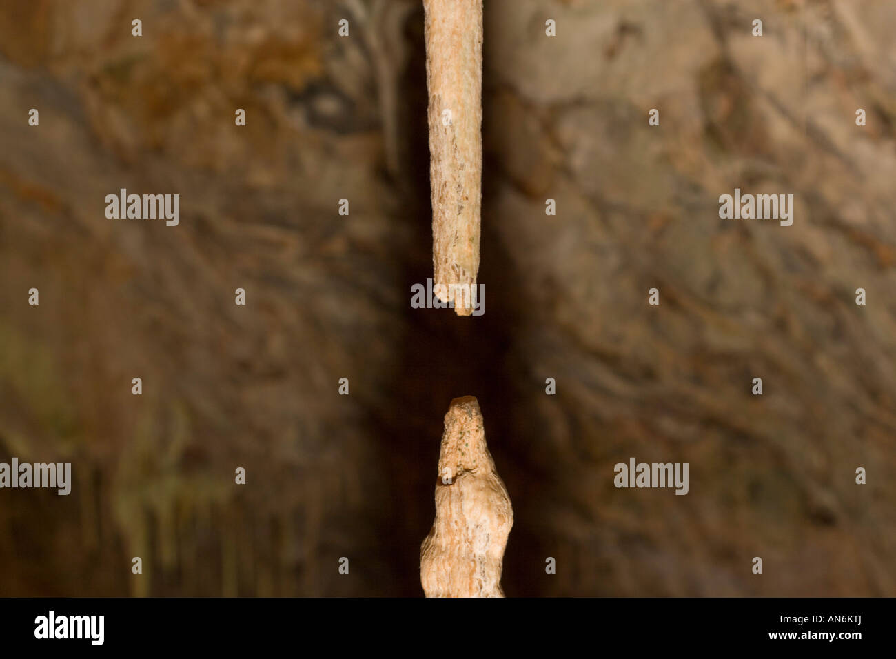 Israel the Soreq Stalactite Cave Nature Reserve also called Avshalom ...