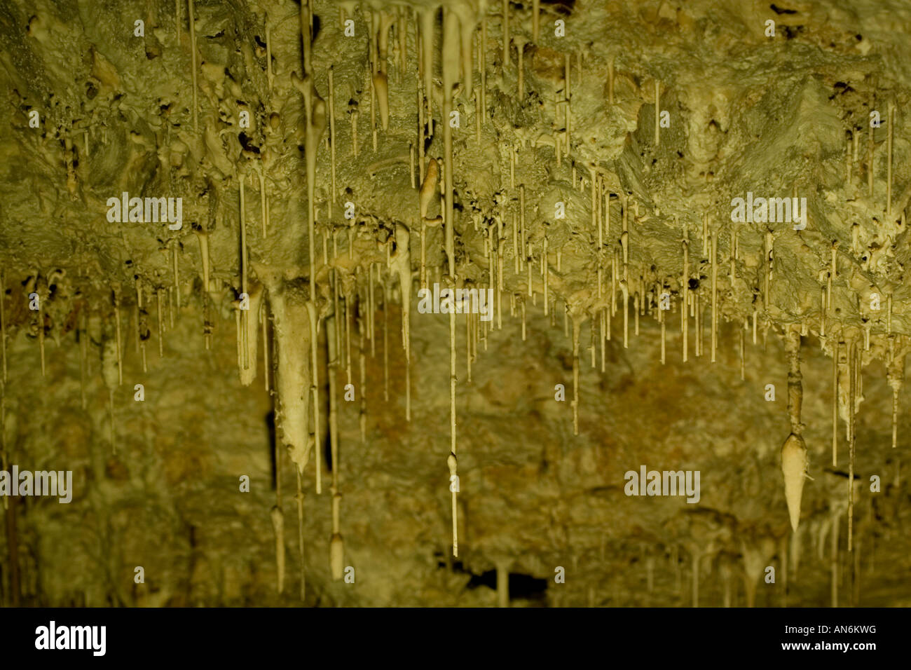 Israel the Soreq Stalactite Cave Nature Reserve also called Avshalom ...