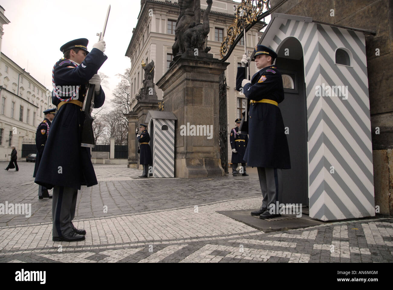 Outdoor training process hi-res stock photography and images - Alamy