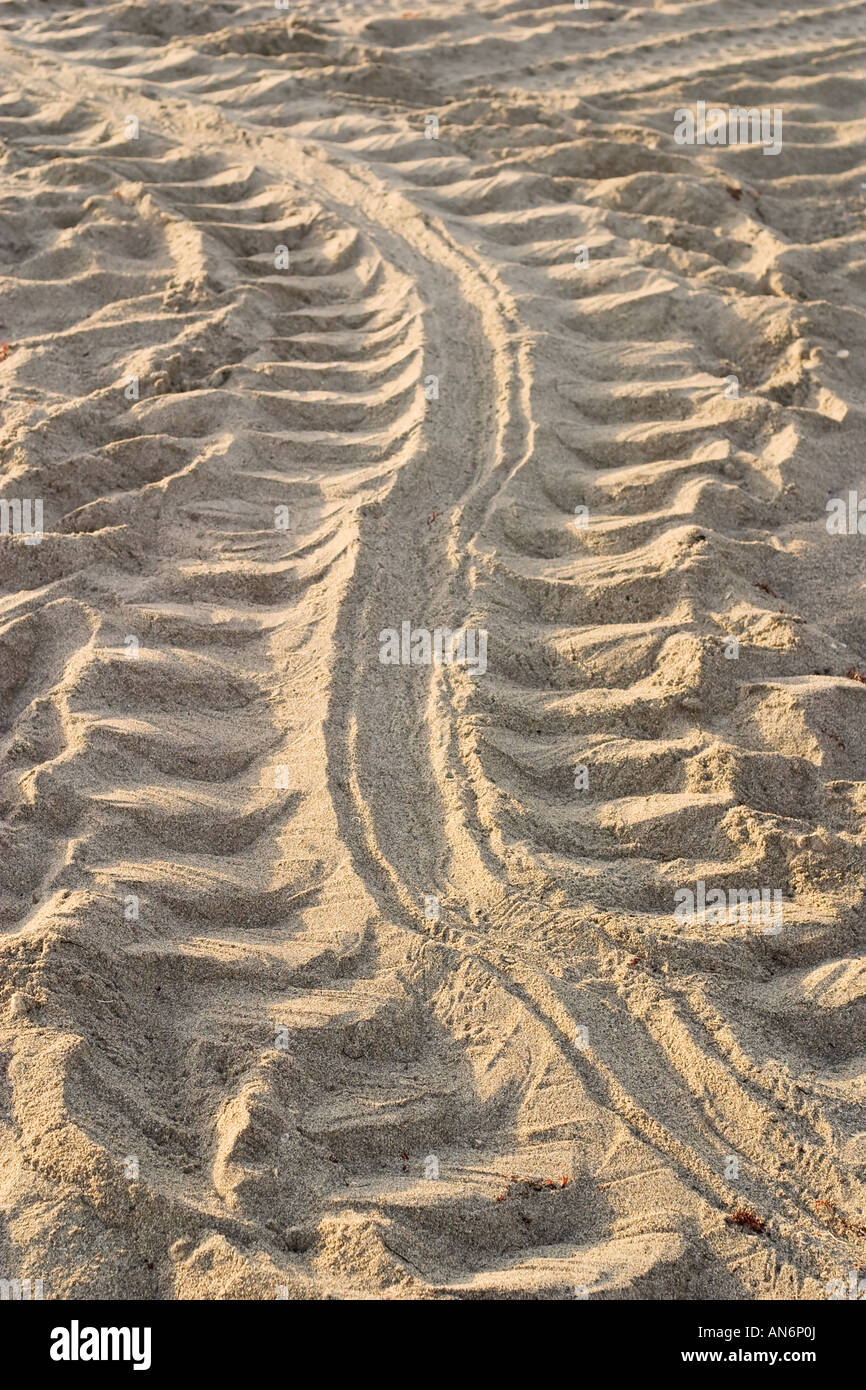 Crawl Tracks High Resolution Stock Photography and Images - Alamy