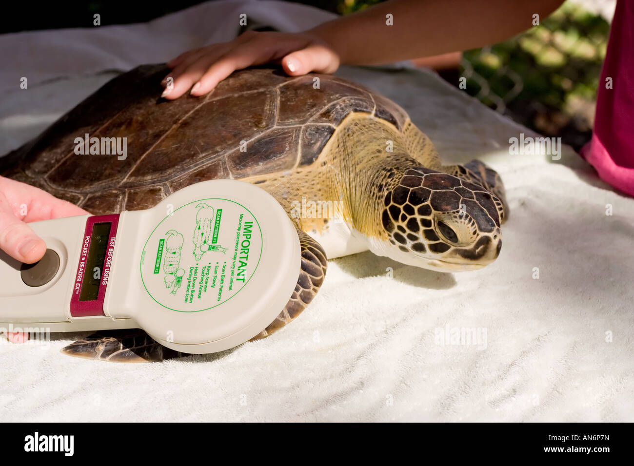 Biomark hi-res stock photography and images - Alamy