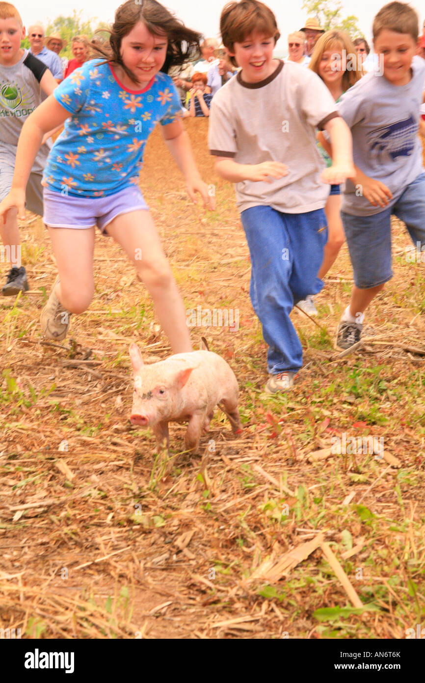 Greased pig hi-res stock photography and images - Alamy