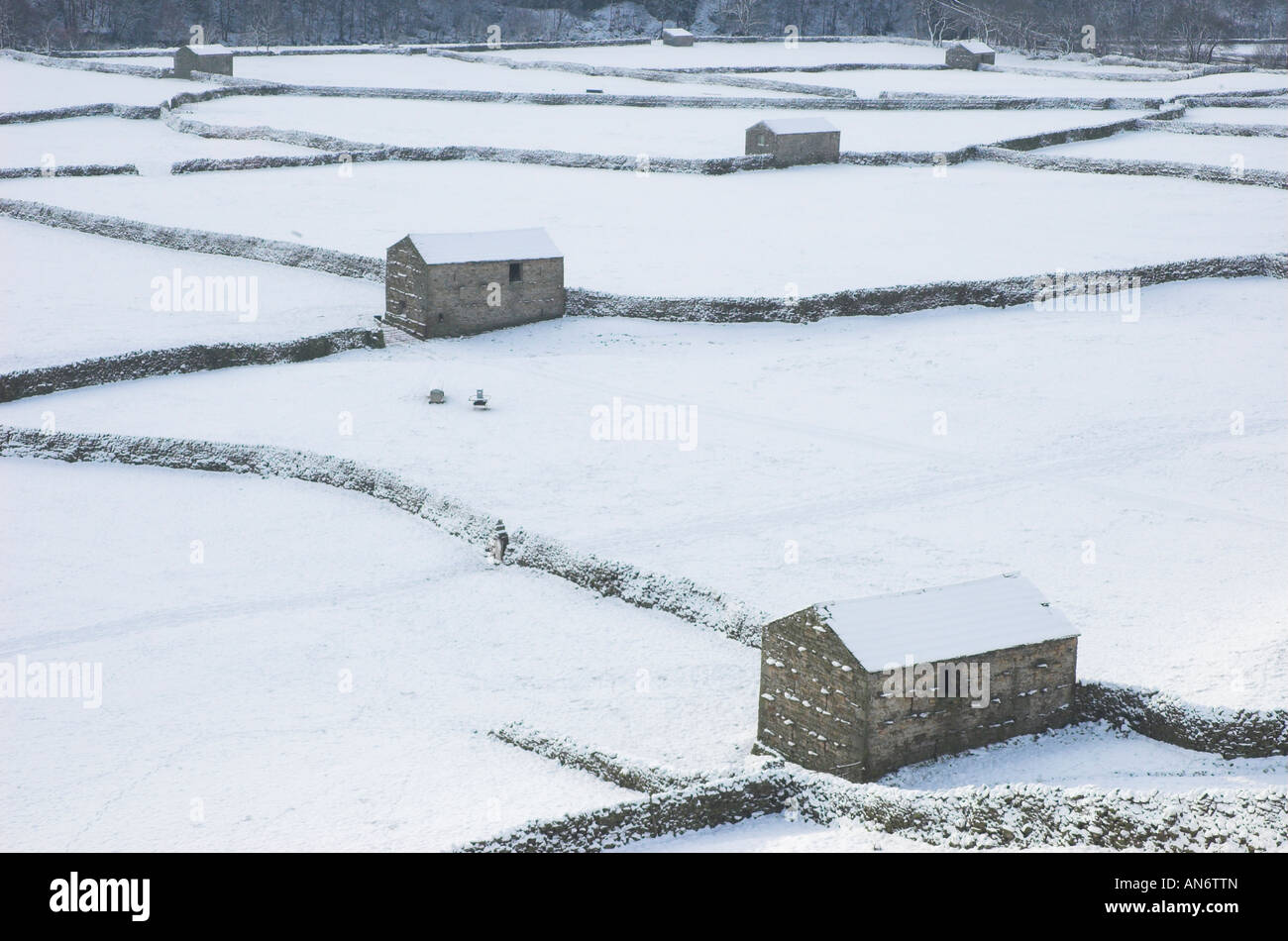 Stone barns and fields in snow near Gunnerside, Swaledale North ...