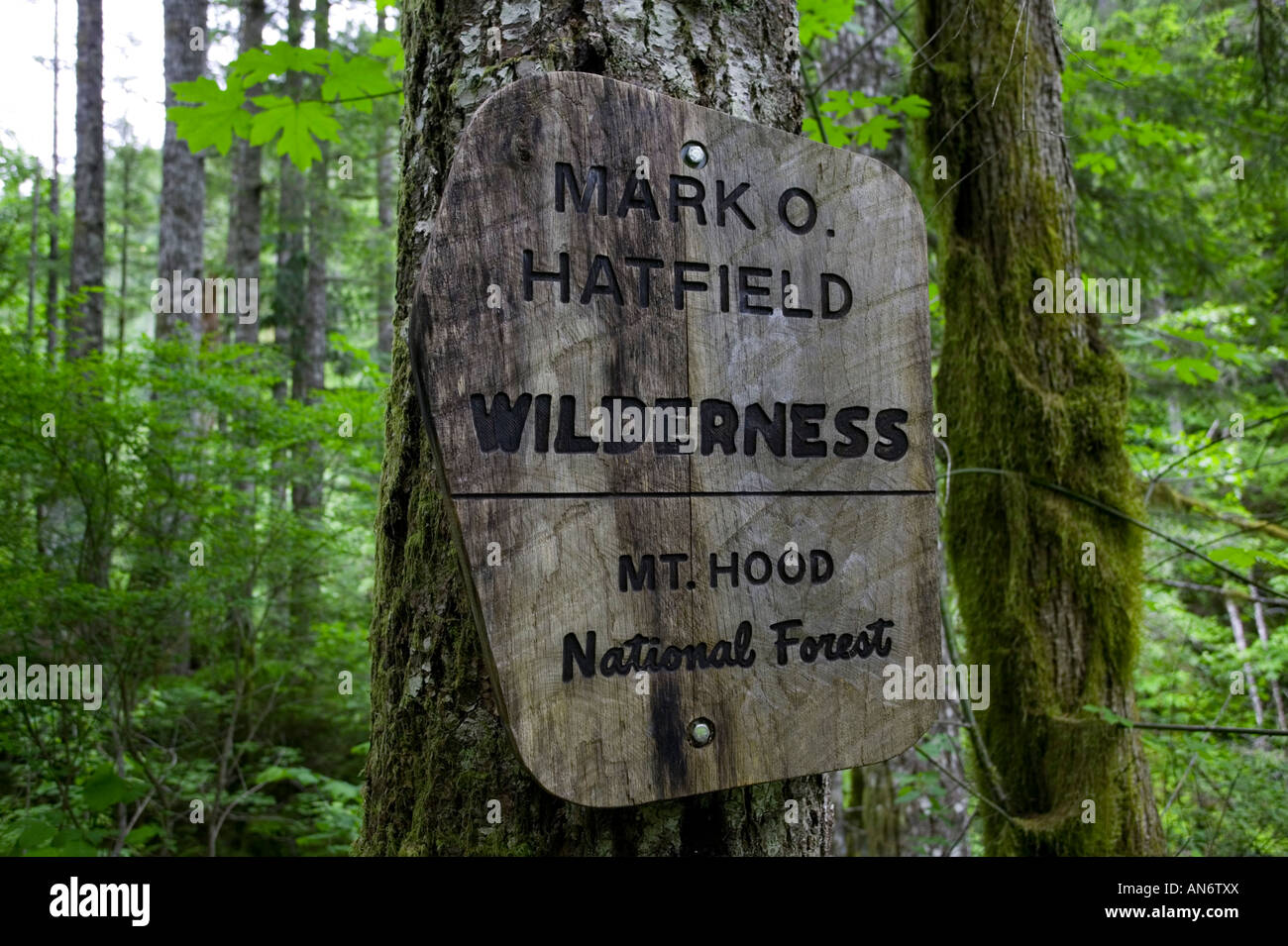Enter sign into Mark O. Hatfield wilderness Stock Photo - Alamy