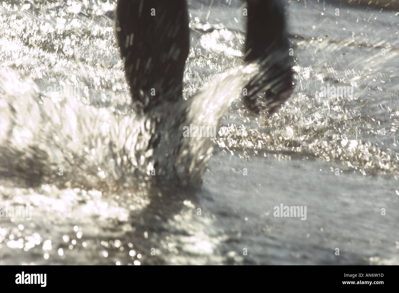 Man legs running in the water beach Stock Photo - Alamy