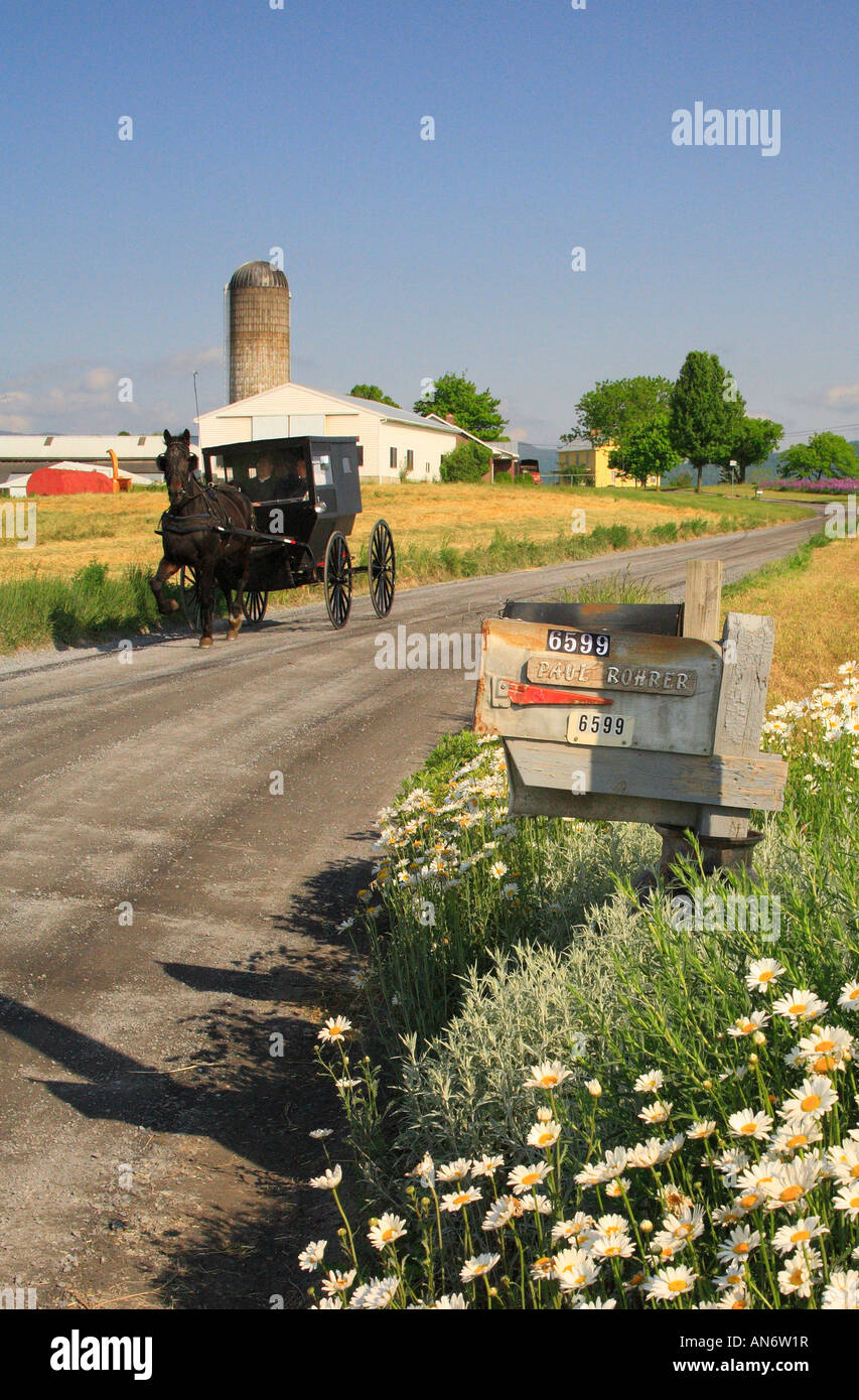 Mennonite Buggy in the Shenandoah Valley of Virginia, USA Stock Photo ...