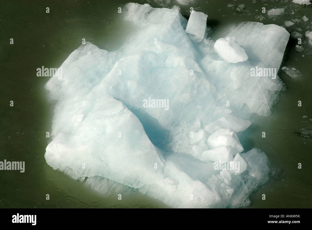 Ice floating, Disenchantment Bay, Alaska, USA, travel, tourism Stock ...