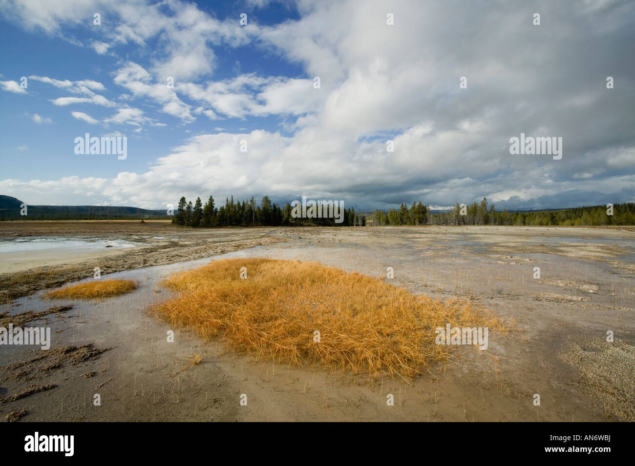 Yellowstone in late fall Stock Photo - Alamy