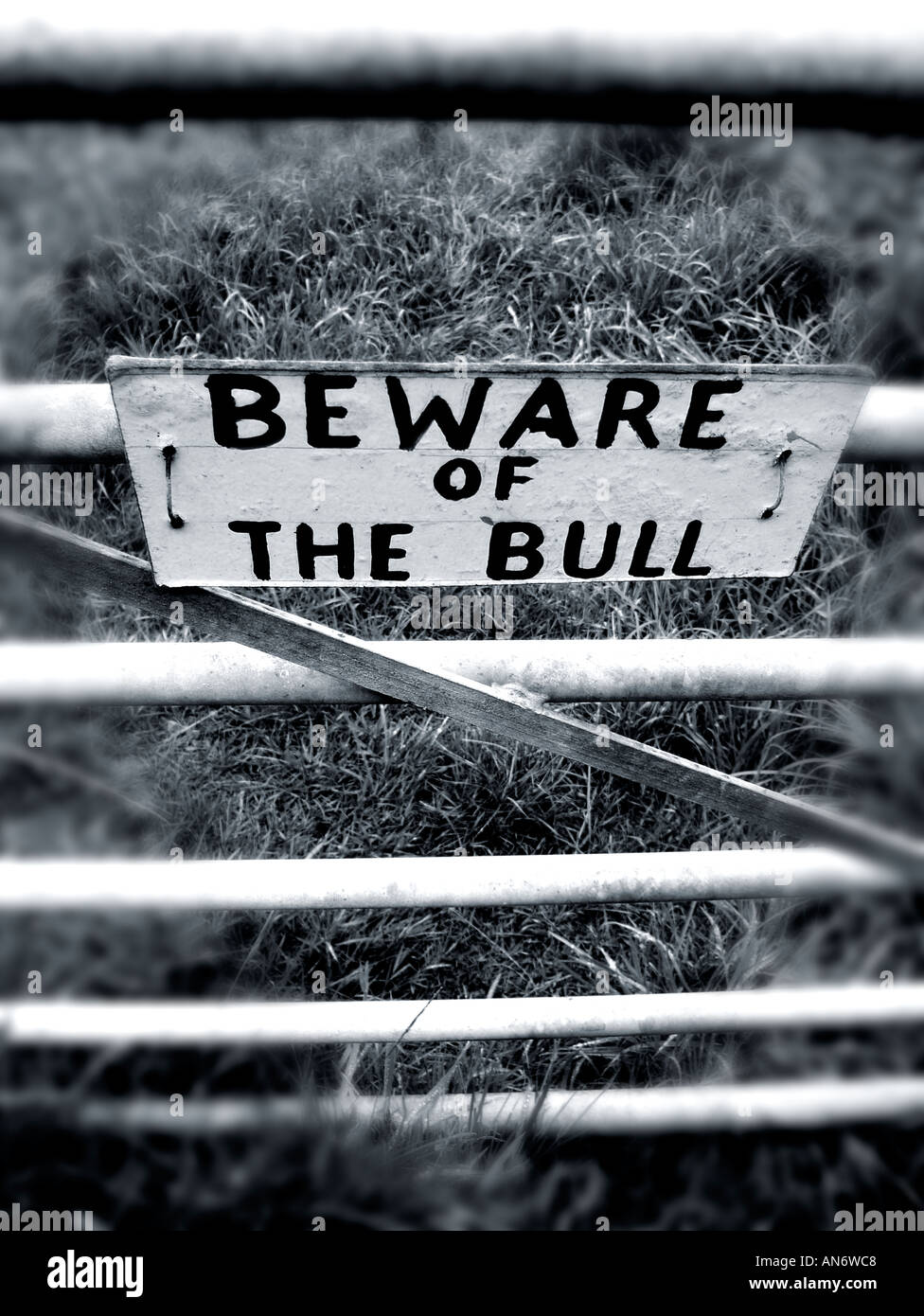 beware of bull sign Stock Photo - Alamy