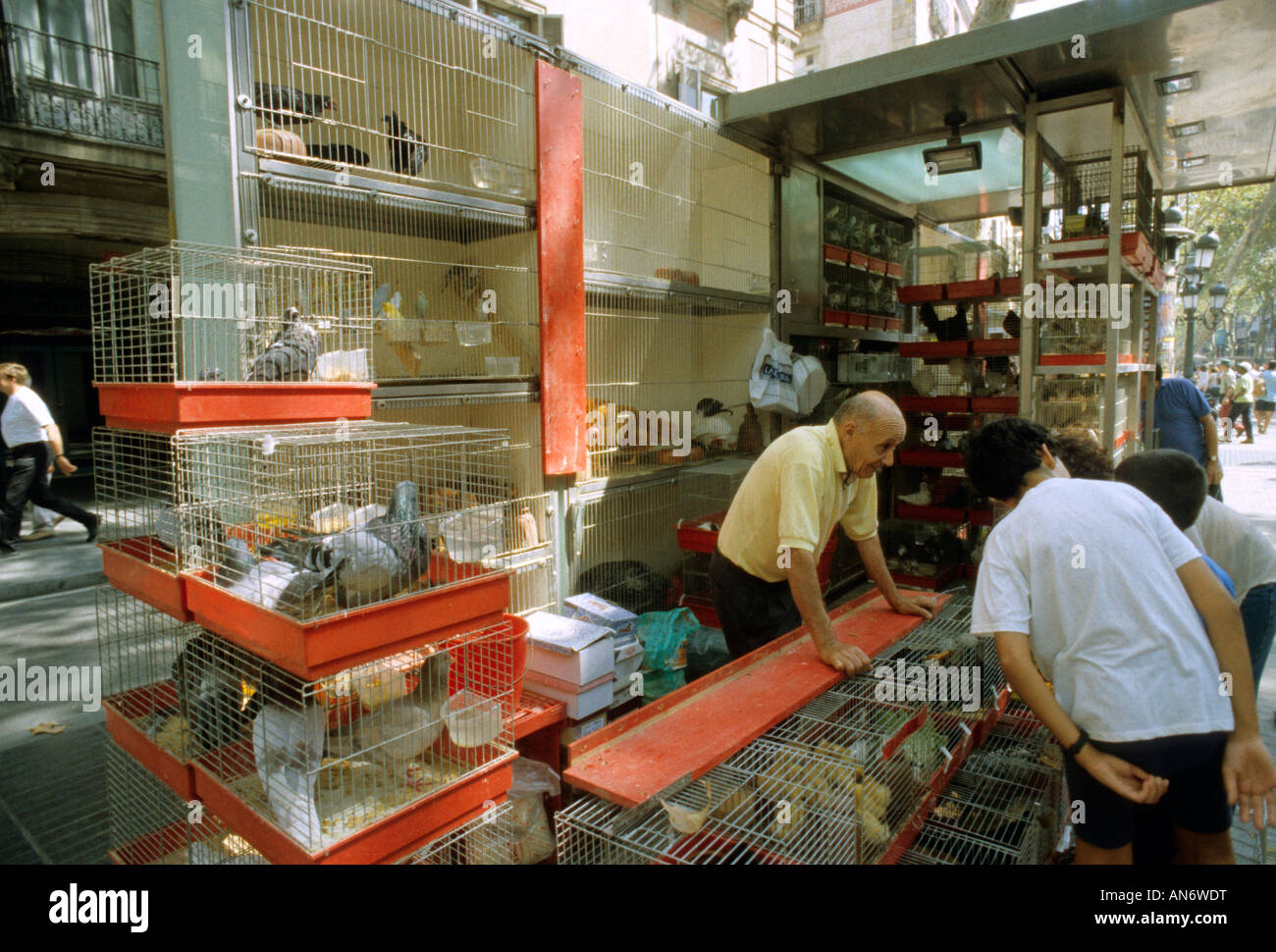 Bird vendor La Rambla Barcelona Spain Stock Photo - Alamy