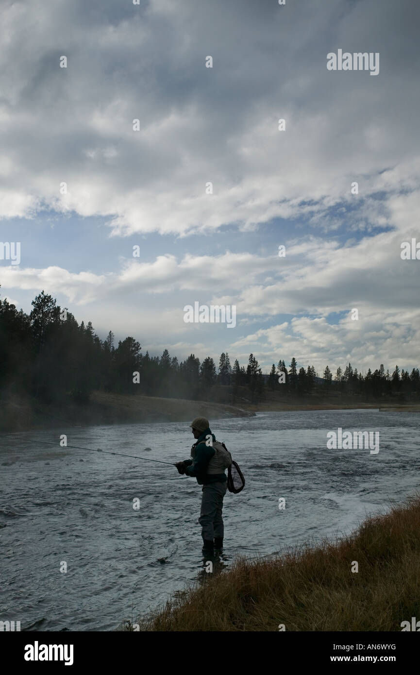 Fishing in Yellowstone Stock Photo - Alamy