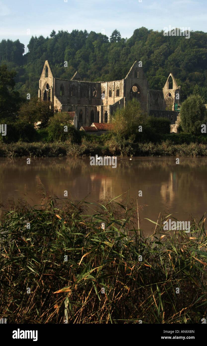 Tintern abbey river wye hi-res stock photography and images - Alamy