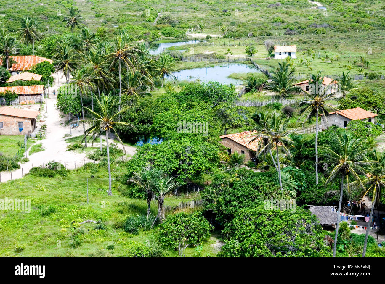 Mandacaru, Maranhao, Brazil Stock Photo - Alamy